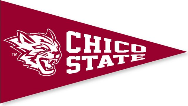 California State University Chico Mini Magnet Pennant | California ...
