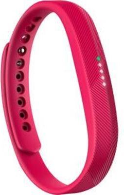 Fitbit Flex Description