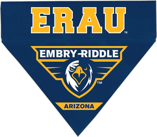 Logotipo De Embry Riddle-arizona