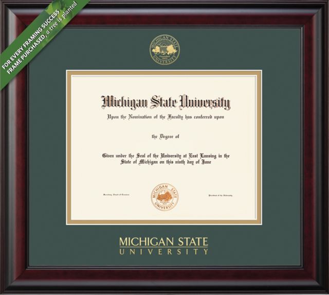 Michigan State University Diploma Executive Diploma Frames All