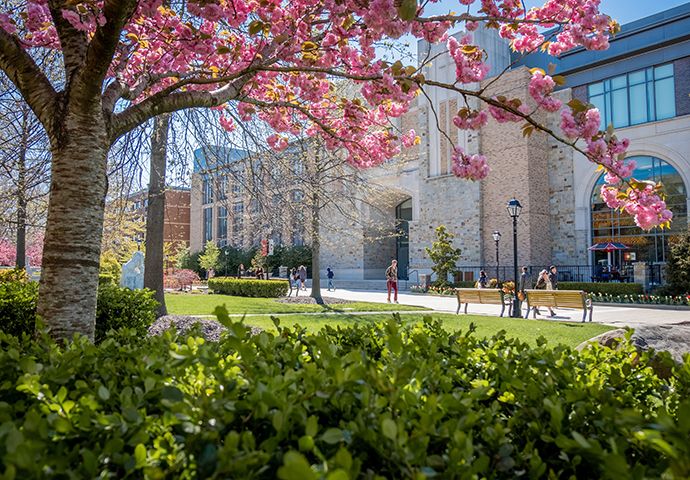 Official St Johns University Queens Campus Bookstore Apparel ...