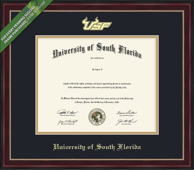 University Of South Florida Diploma Received Business Analytics