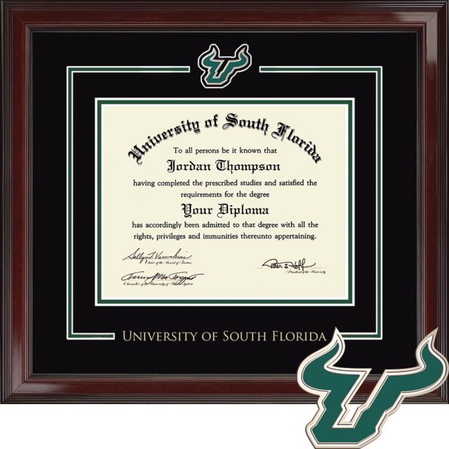 University Of South Florida Diploma Received Business Analytics