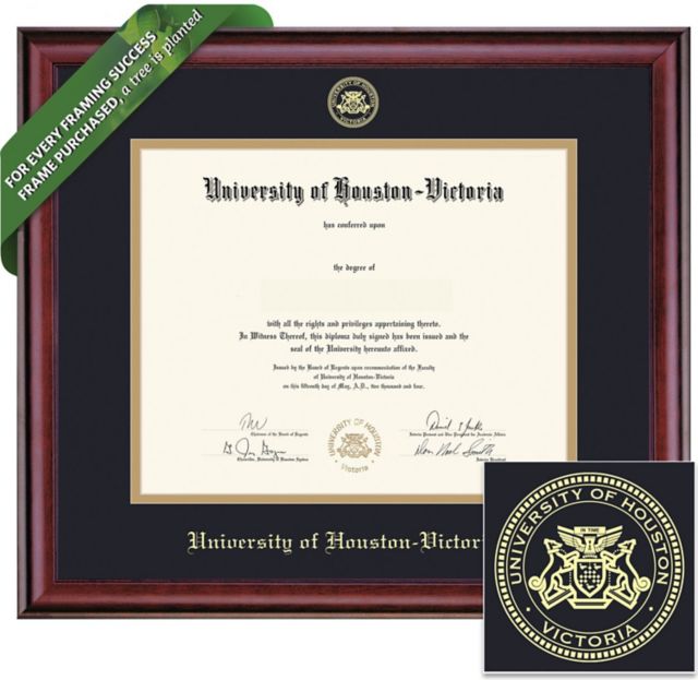 University Of Houston Diploma Ece
