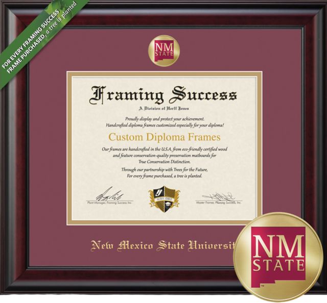 Diploma Nacional Superior