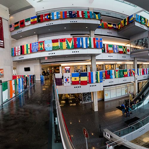 Official Online Store