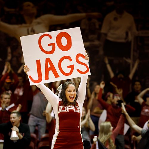 Official Online Store