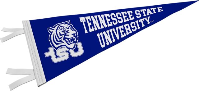 Tennessee State University Flag TSU Out Of Money, Laying Off Staff, As