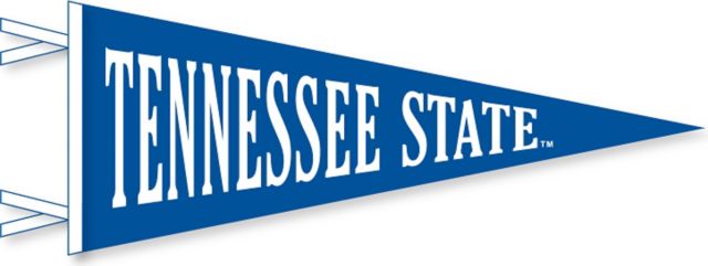 University Of Tennessee Pennant