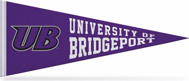 University Of Bridgeport Logo