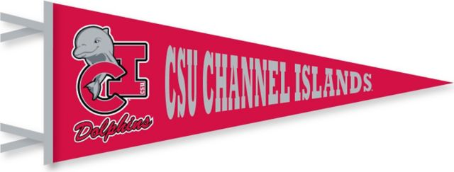 California State University - Channel Islands Dolphins 12'' x 30 ...