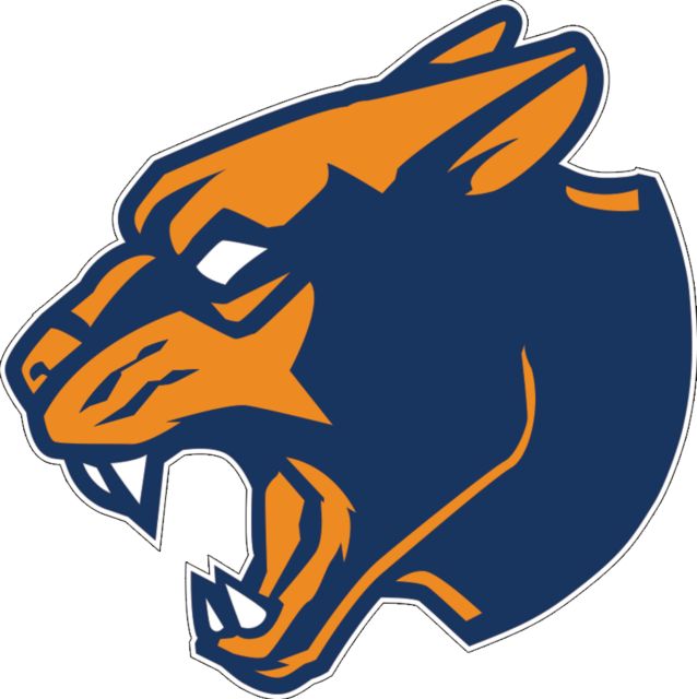 Panther College Logo