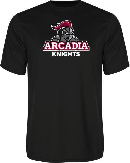 Arcadia Knights Logo