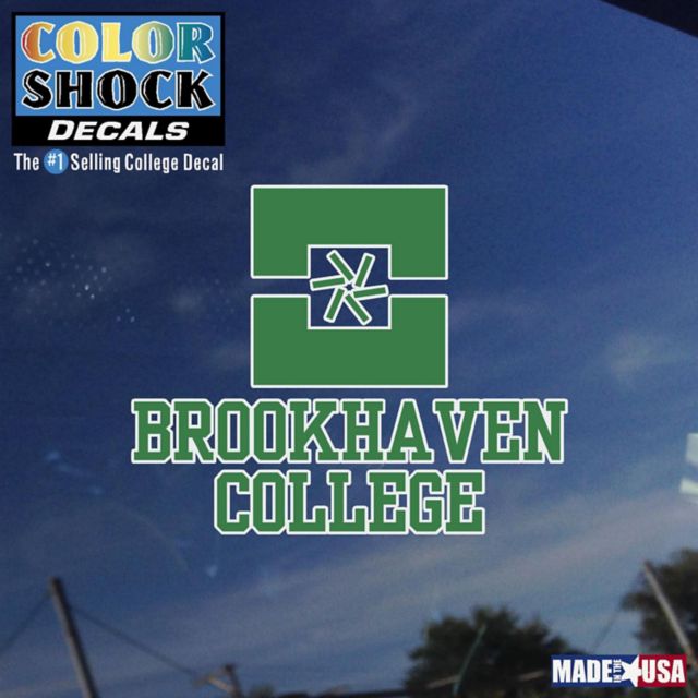 Brookhaven College Logo Brand & Style Guide Woodland Community