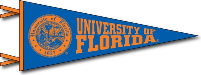 University of Florida 6'' x 15'' Pennant | University of Florida