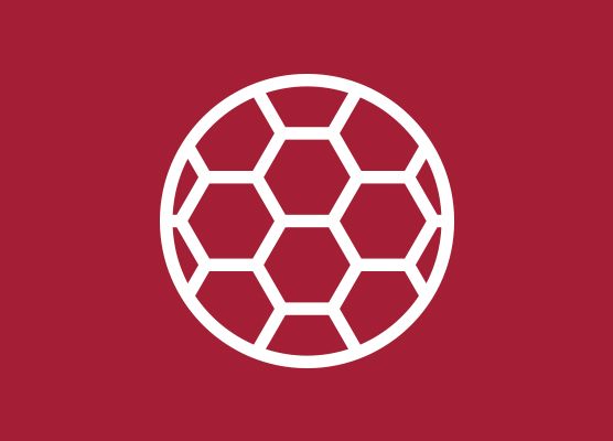 Official Online Store