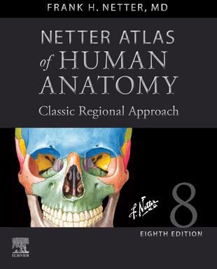 Netter S Atlas Of Human Anatomy Netter Atlas Of Human Anatomy By Frank