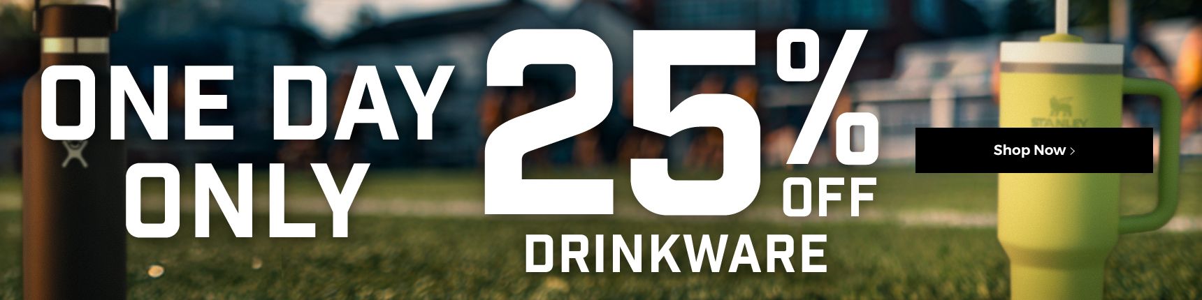 Official Lewis University Bookstore Apparel, Merchandise & Gifts