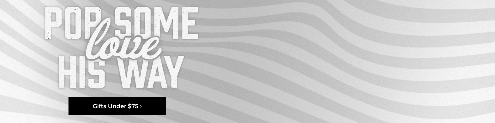 Official Embry Riddle Worldwide Bookstore Apparel, Merchandise & Gifts