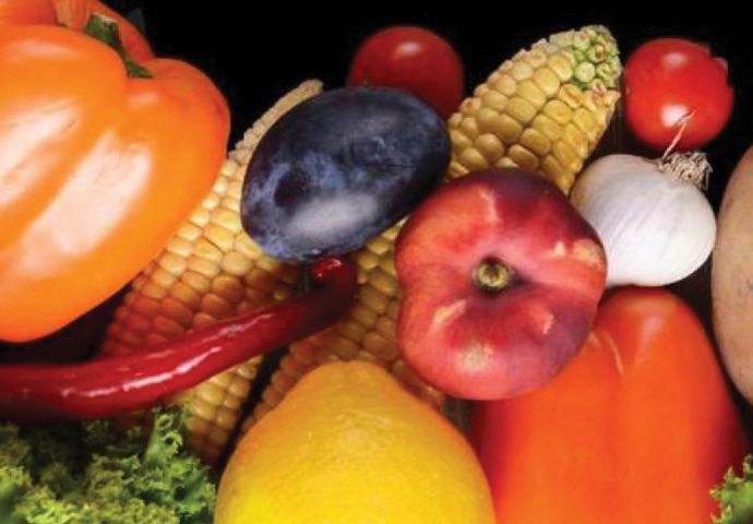 ASU Apparel | Arizona State Gear, Merchandise & Gift Shop